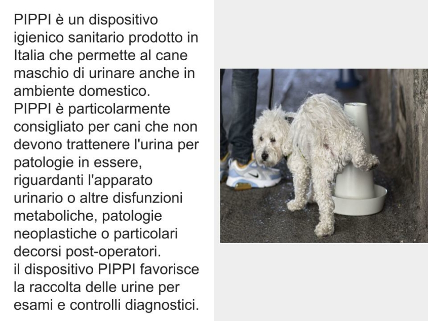 WC per cani PIPPI Blu: la soluzione per la pipì in casa del cane