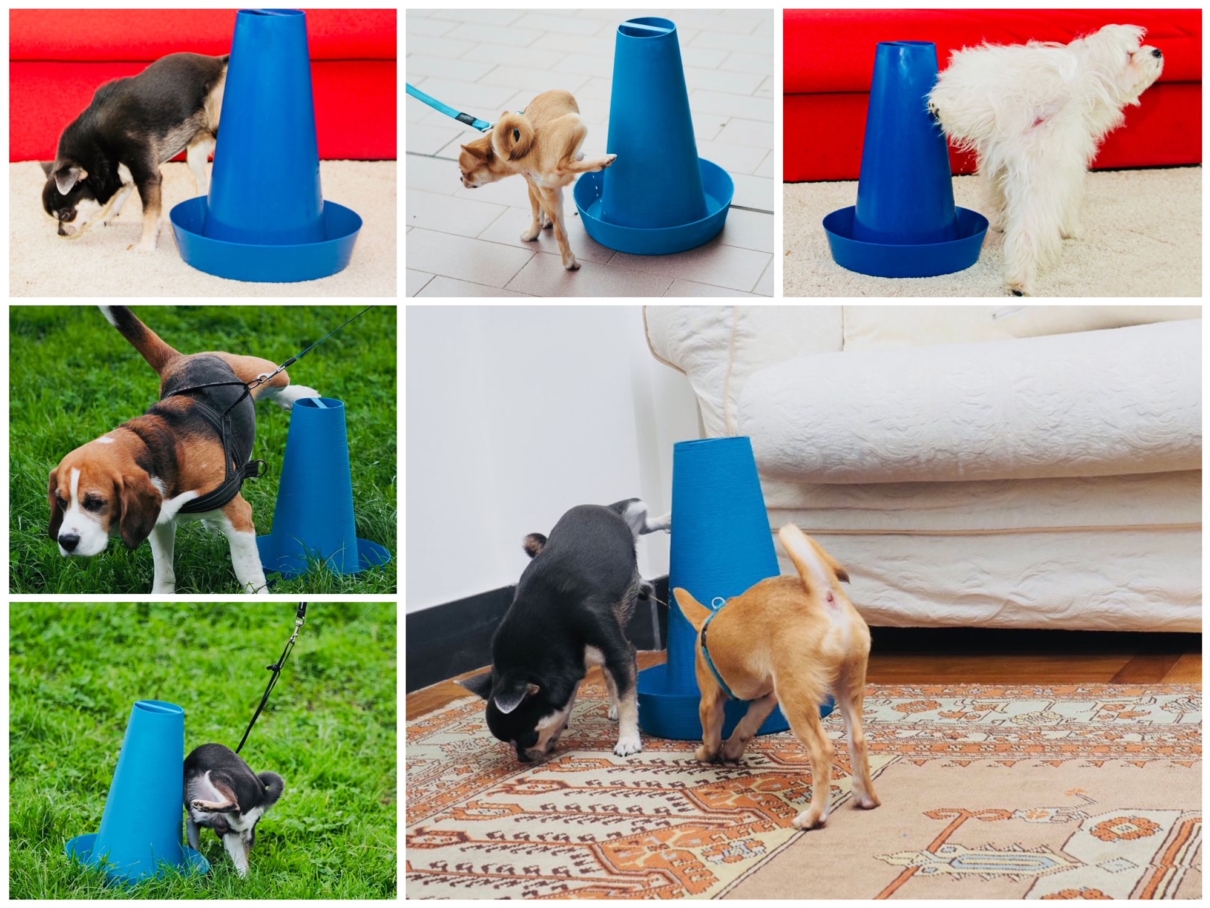 PIPPI STORE - wc per cani - wc per cani maschi - toilette cani ...